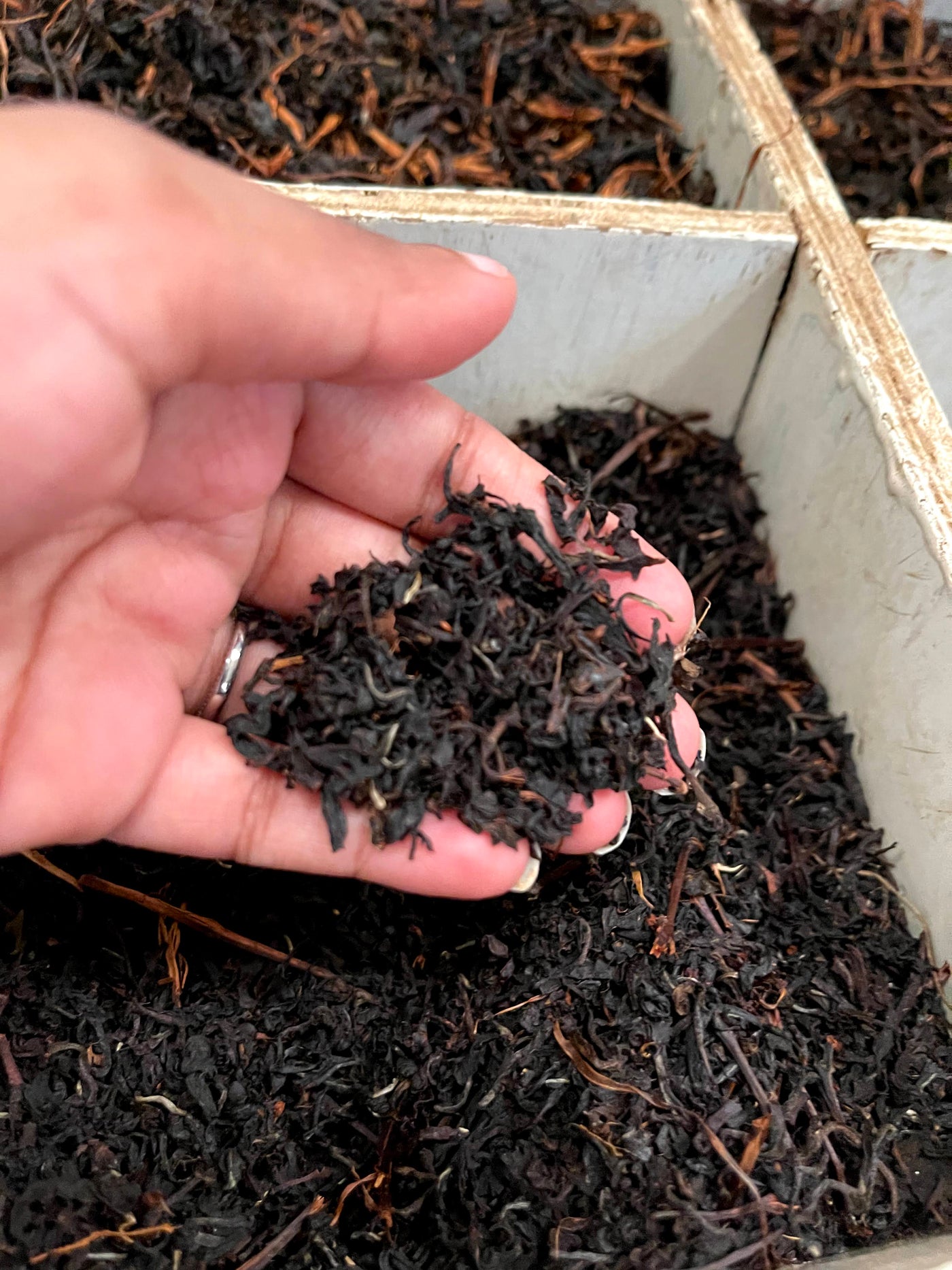 The Story of Sri Lanka's Thieves Tea